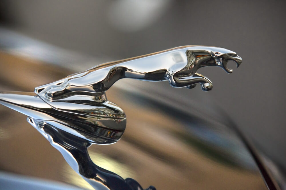 Exploring the New Logo of Jaguar Car: A Bold Evolution | Sky