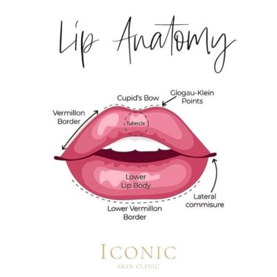 Drawing Lips: Step-by-Step Guide | Sky Rye Design