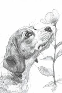 Dog Drawing Easy: Simple Steps for Beginners