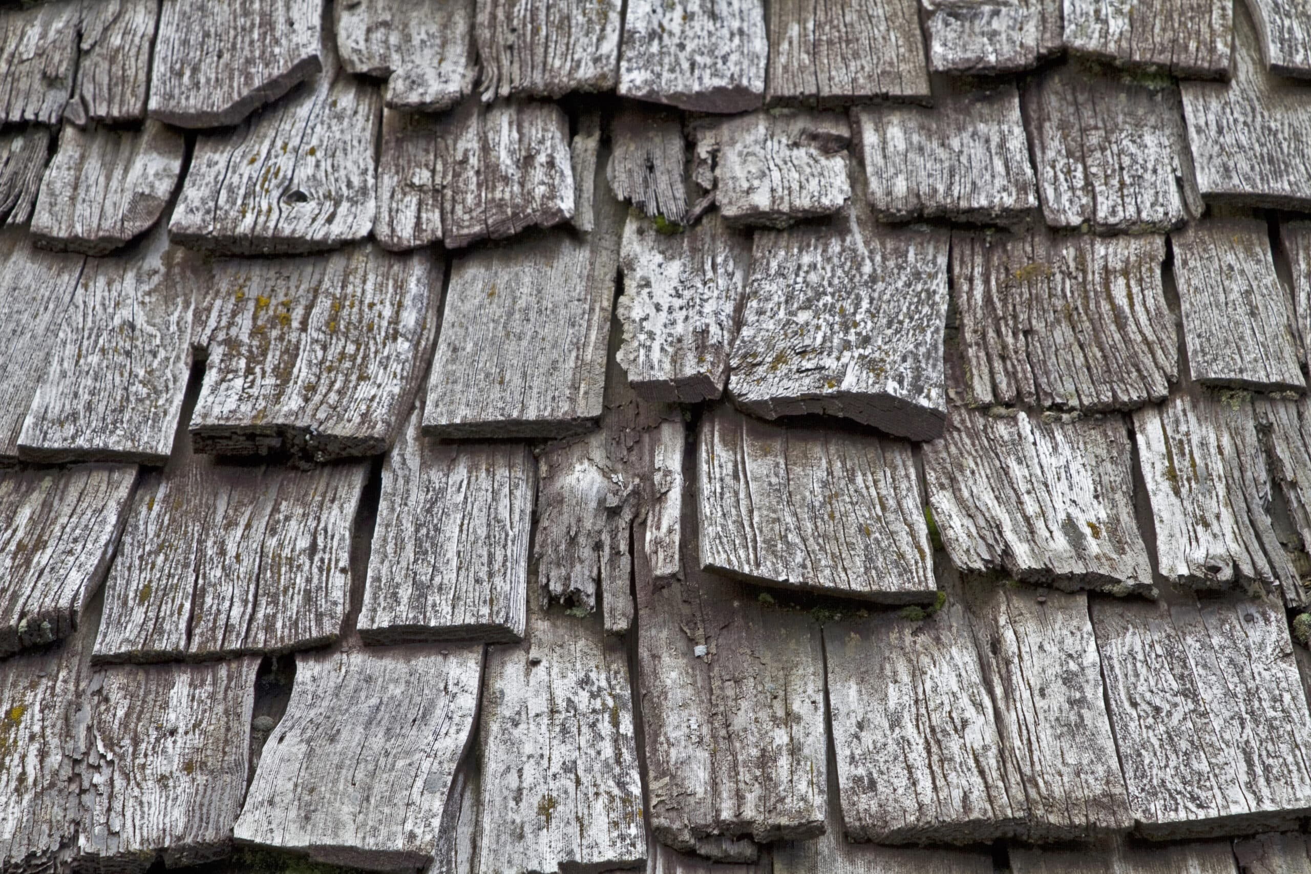 Professional Tips for a Successful Roof Installation