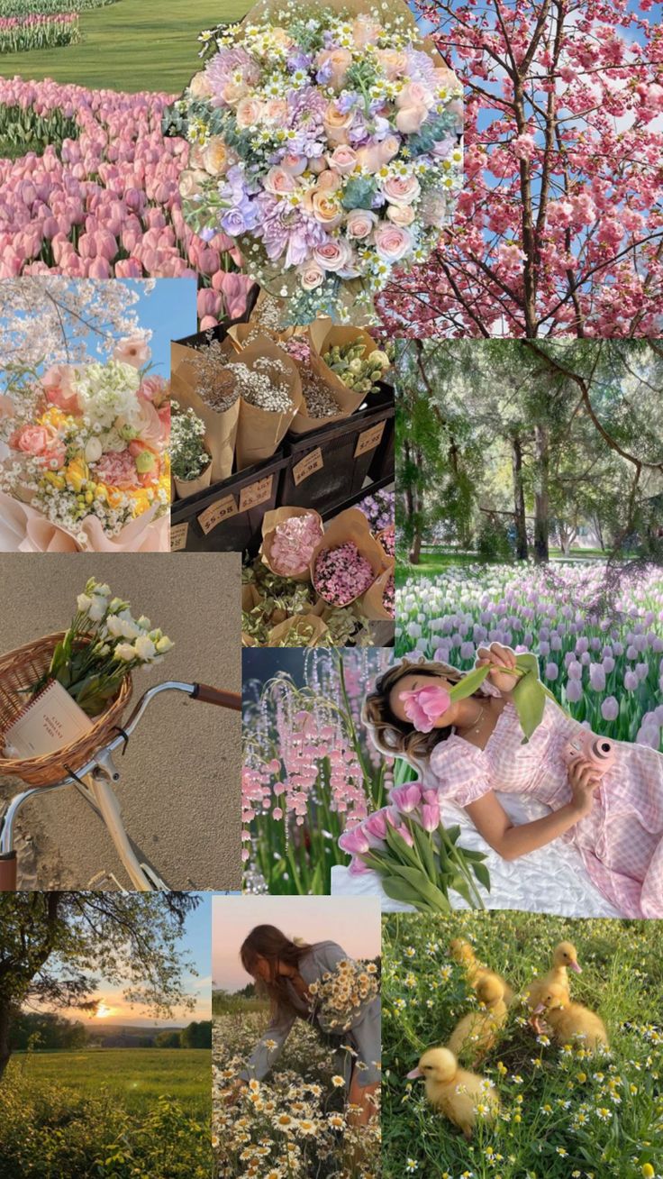 Revitalize Your Screens with Aesthetic Spring Wallpaper