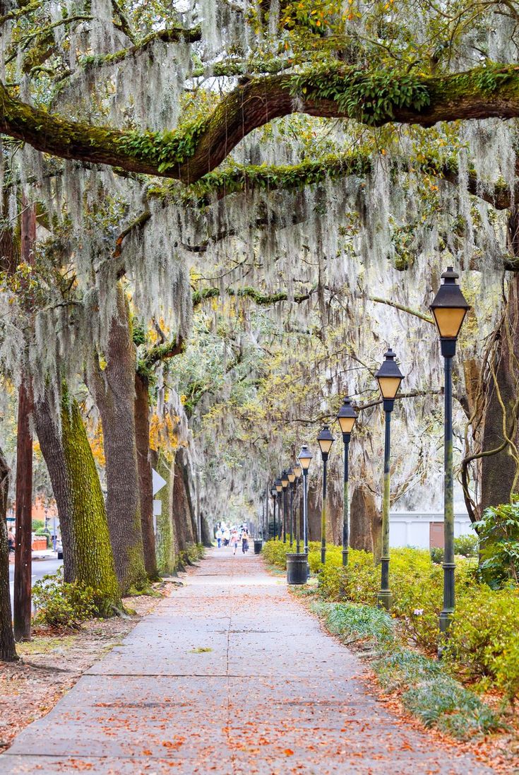 Spring Weekend Getaway Ideas: Destinations and Tips