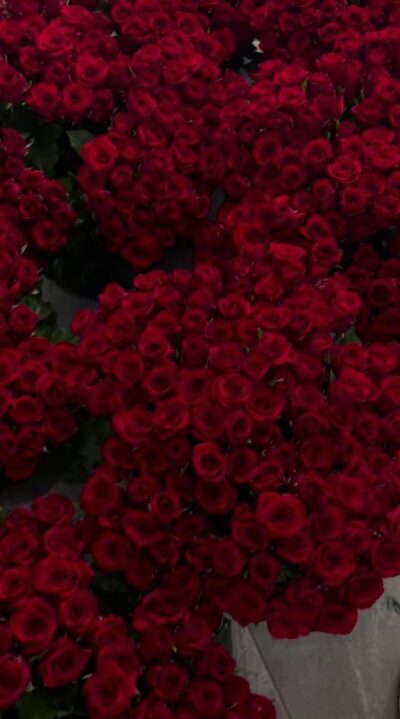 Red Aesthetic Wallpaper iPhone: 28 Stunning Backgrounds Free