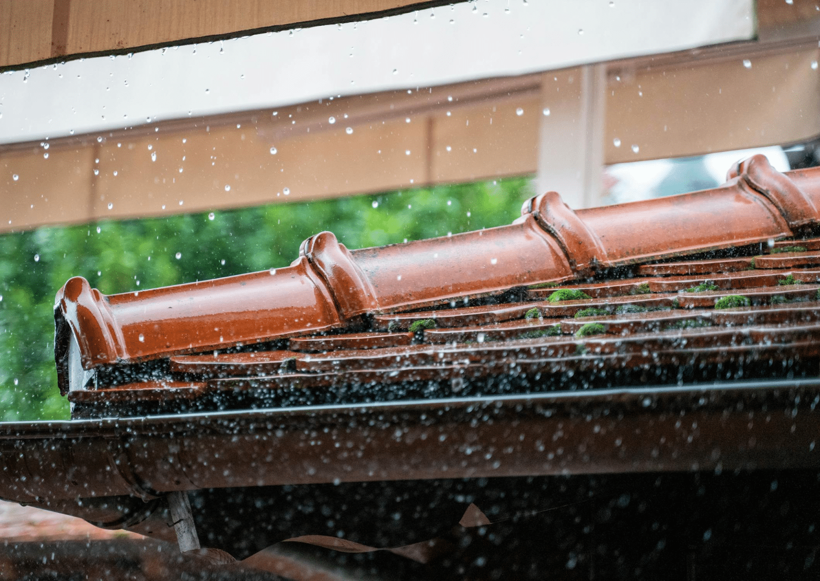 How to Spot Roof Damage After a Storm | Sky Rye Design
