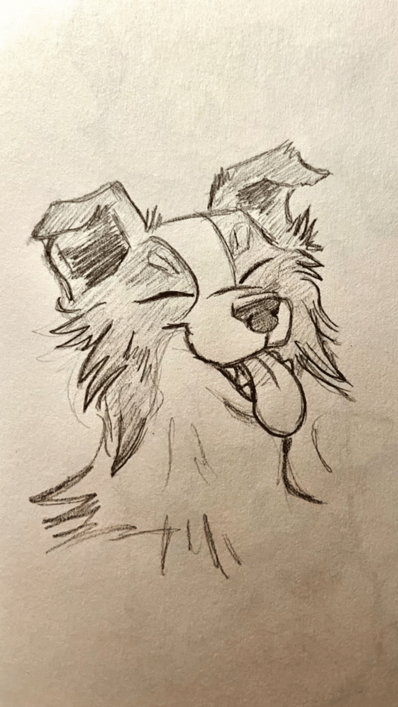 Easy Dog Drawing: Steps for Beginners to Create Sketches