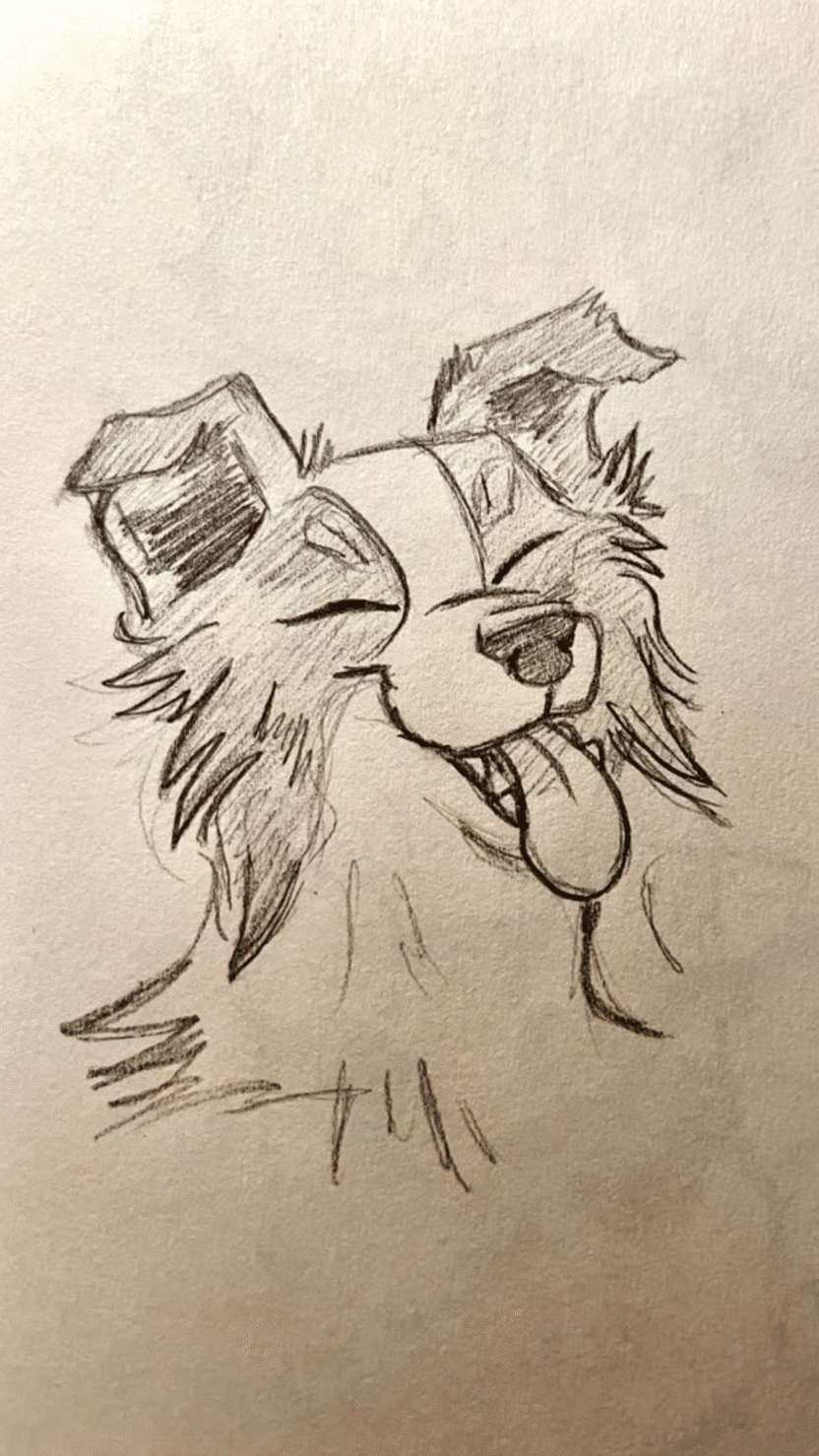 Easy Dog Drawing: 15 Step-by-Step Tutorials for Any Level