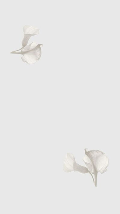 Simple Iphone Wallpaper: Styles, Colors, and Patterns