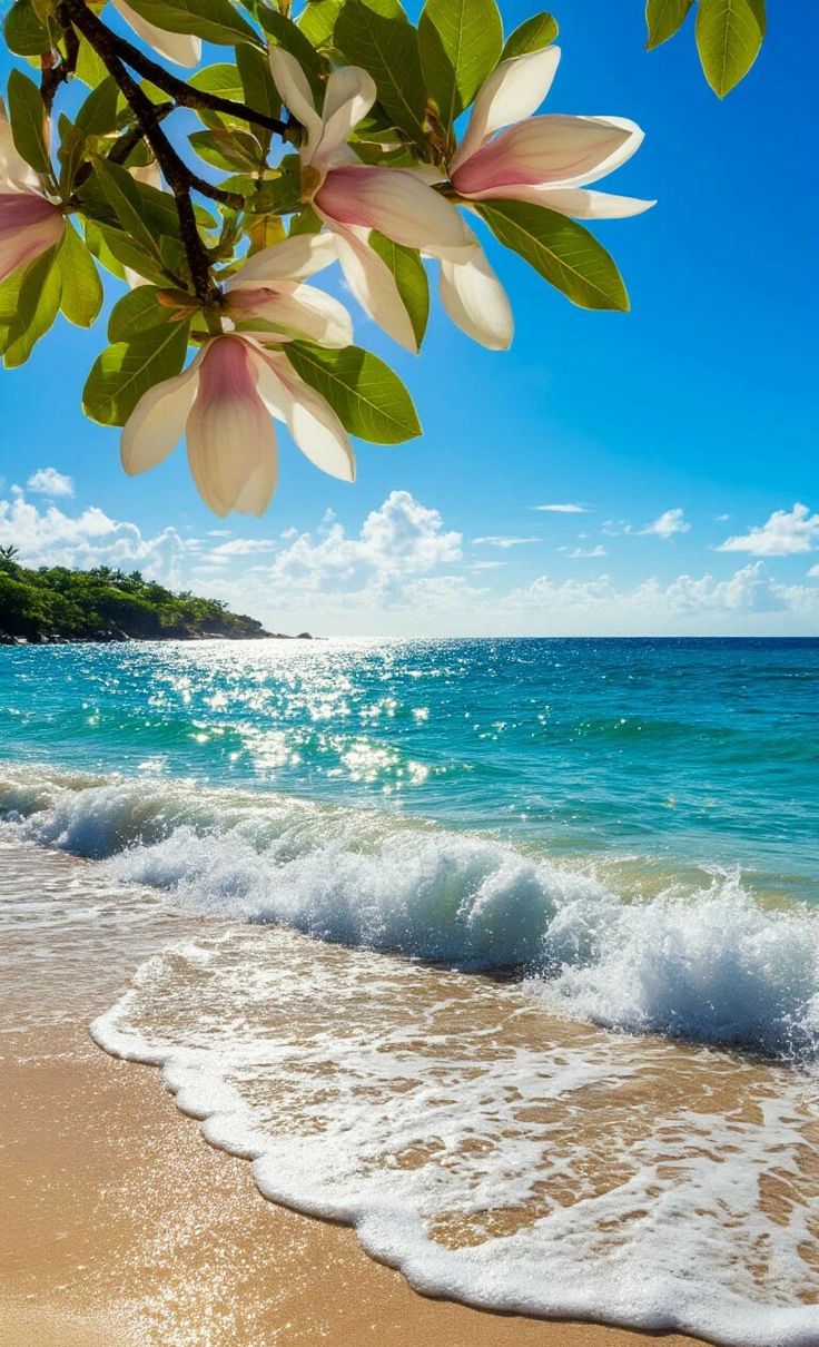 iPhone Summer Wallpaper Ideas for a Fresh Seasonal Look