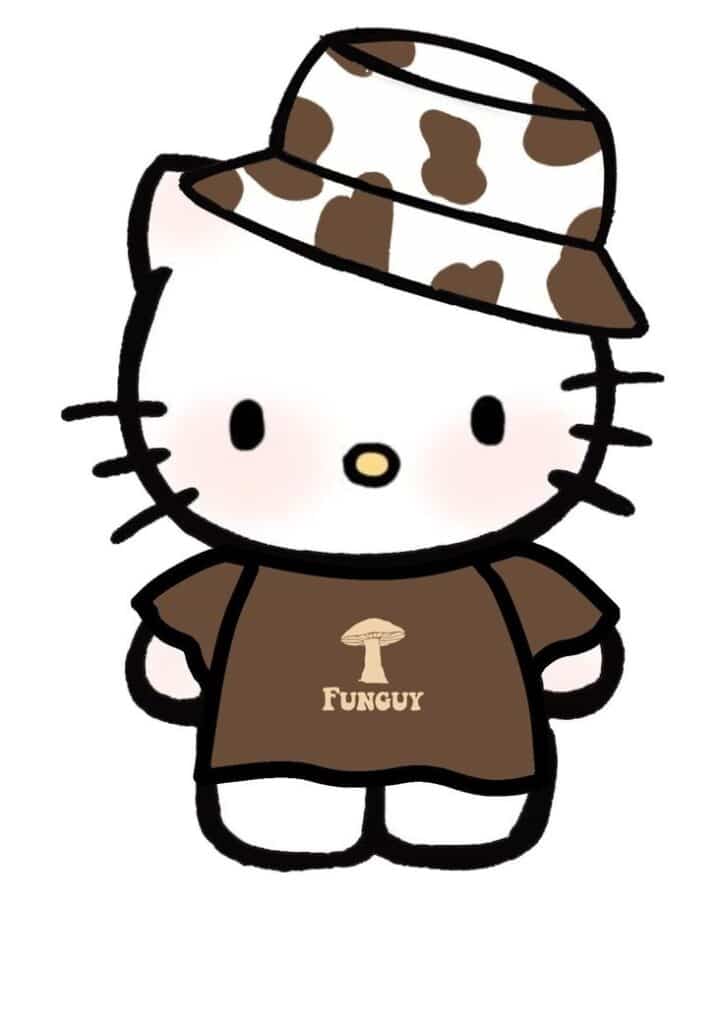 Hello Kitty Drawings Easy and Fun Ideas for All Ages