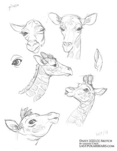 Giraffe Drawing: Step-by-Step Tips to Create Stunning Art