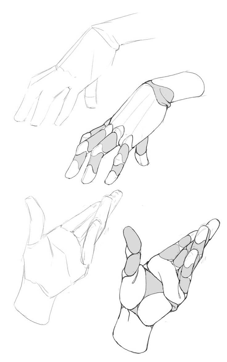 Hand Drawing Tips for Beginners to Boost Creativity Quickly|