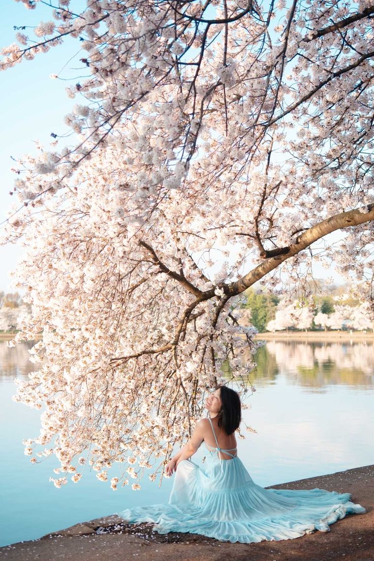 Cherry Blossom Photography Guide: Tips for Beautiful Images