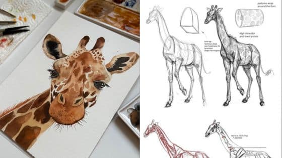 How to Draw Realistic Animals Step by Step Without Mistakes