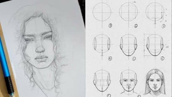 Face Drawing Techniques for Beginners and Artists