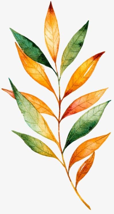 Leaf Drawing: Techniques and Tips for Beginners