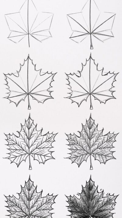 Leaf Drawing: Techniques and Tips for Beginners