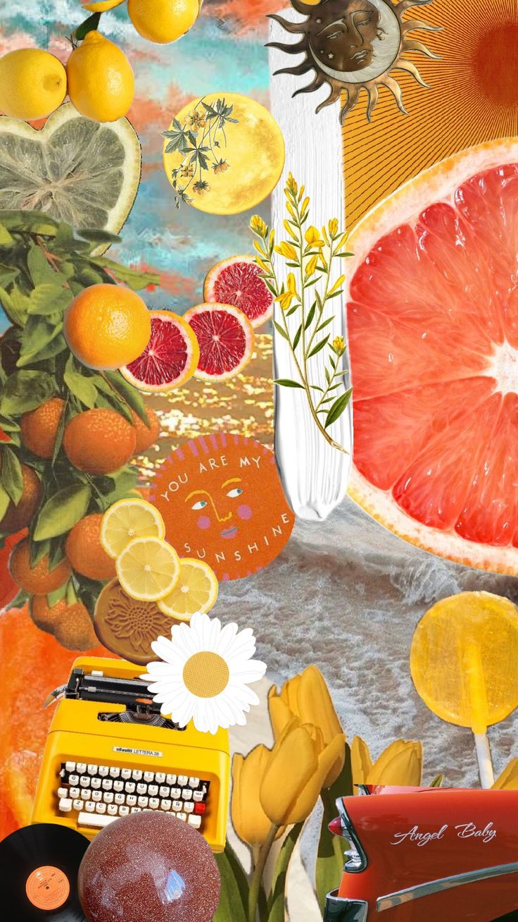 Summer Wallpaper Ideas for a Fresh Seasonal Home Update