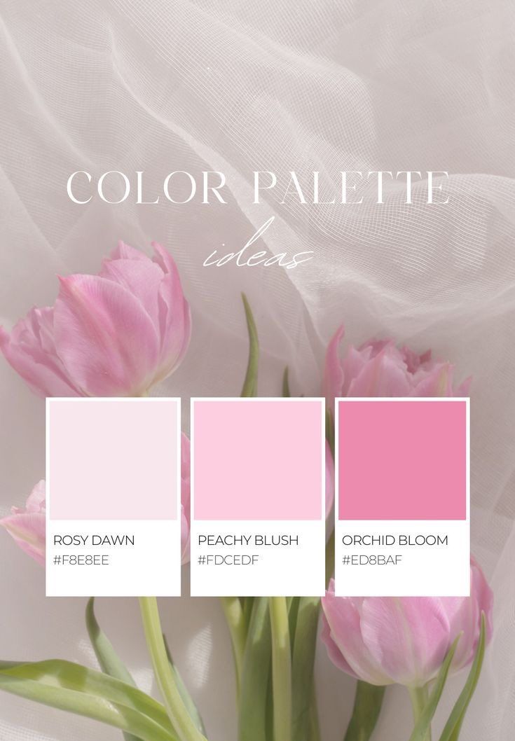 Hello Kitty Drawings Easy and Fun Ideas for All Ages