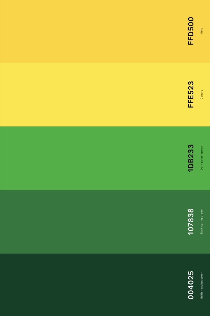 Color Theory Made Easy: A Quick Guide for Designers