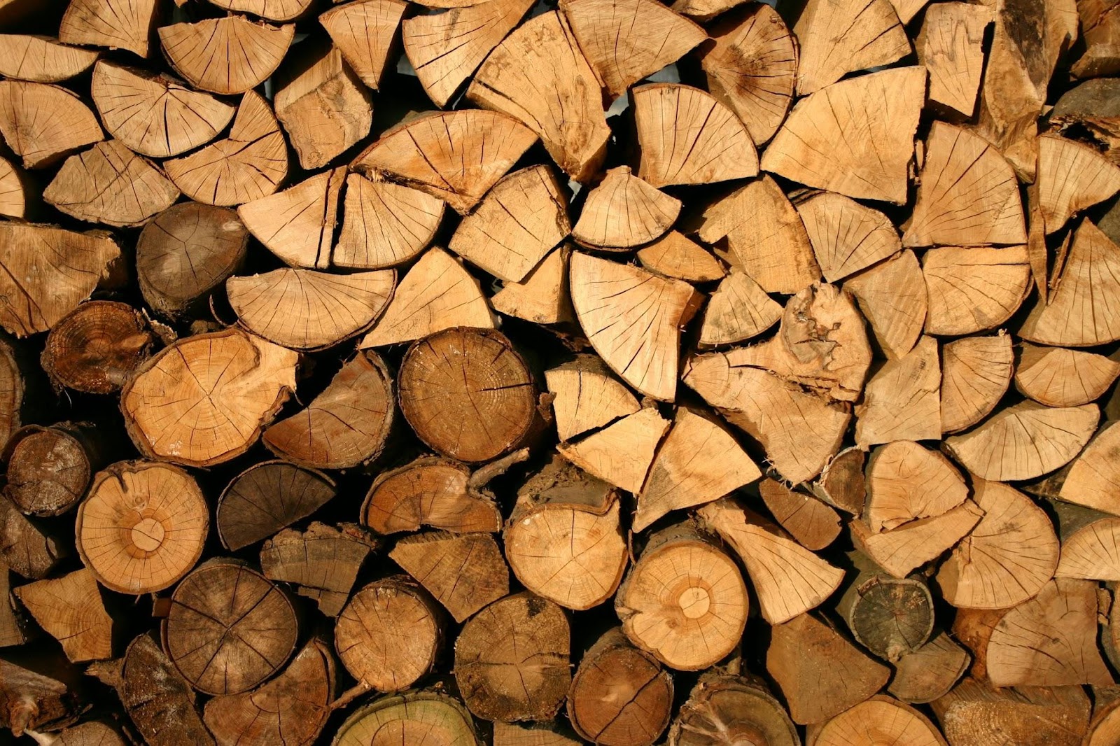 Innovative Wood: Eco-Friendly Alternatives and Benefits