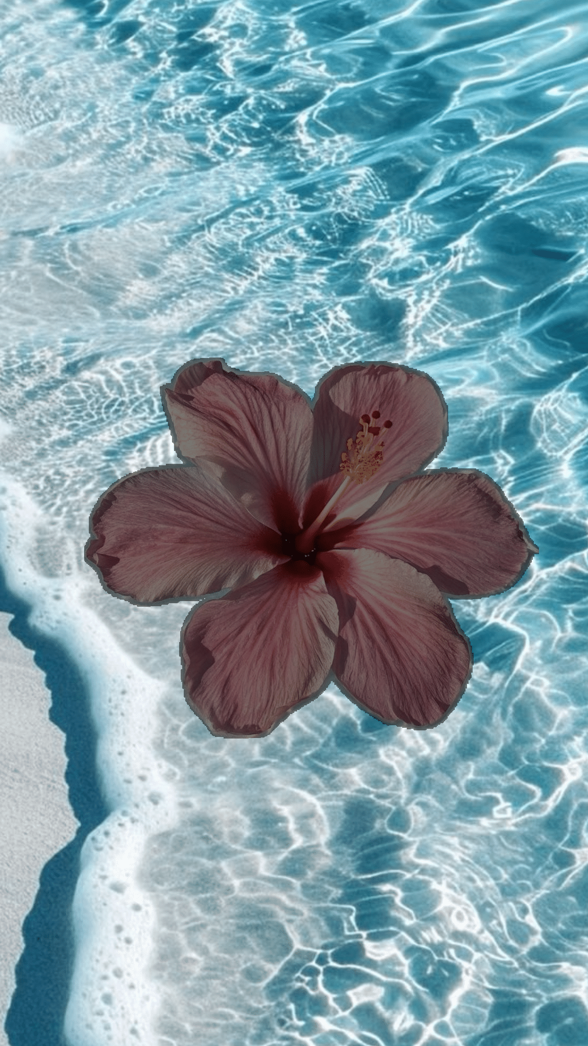 Clean iPhone Wallpaper for a Minimalist and Stylish Look