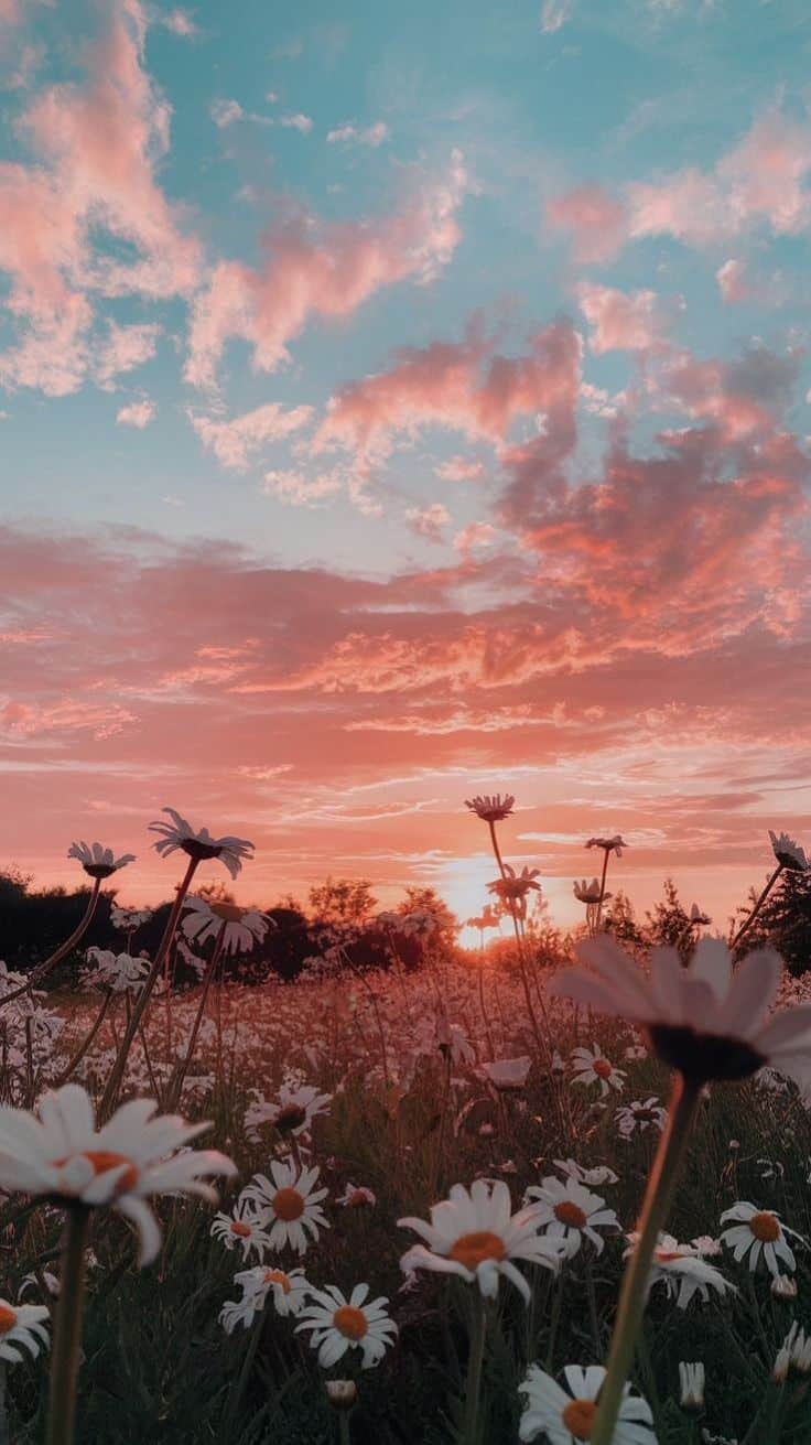 The Best Wallpapers for Different Weather Conditions