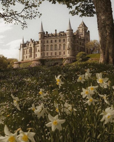 Uncover the Magic of Castlecore: Homes Inspired by Castles
