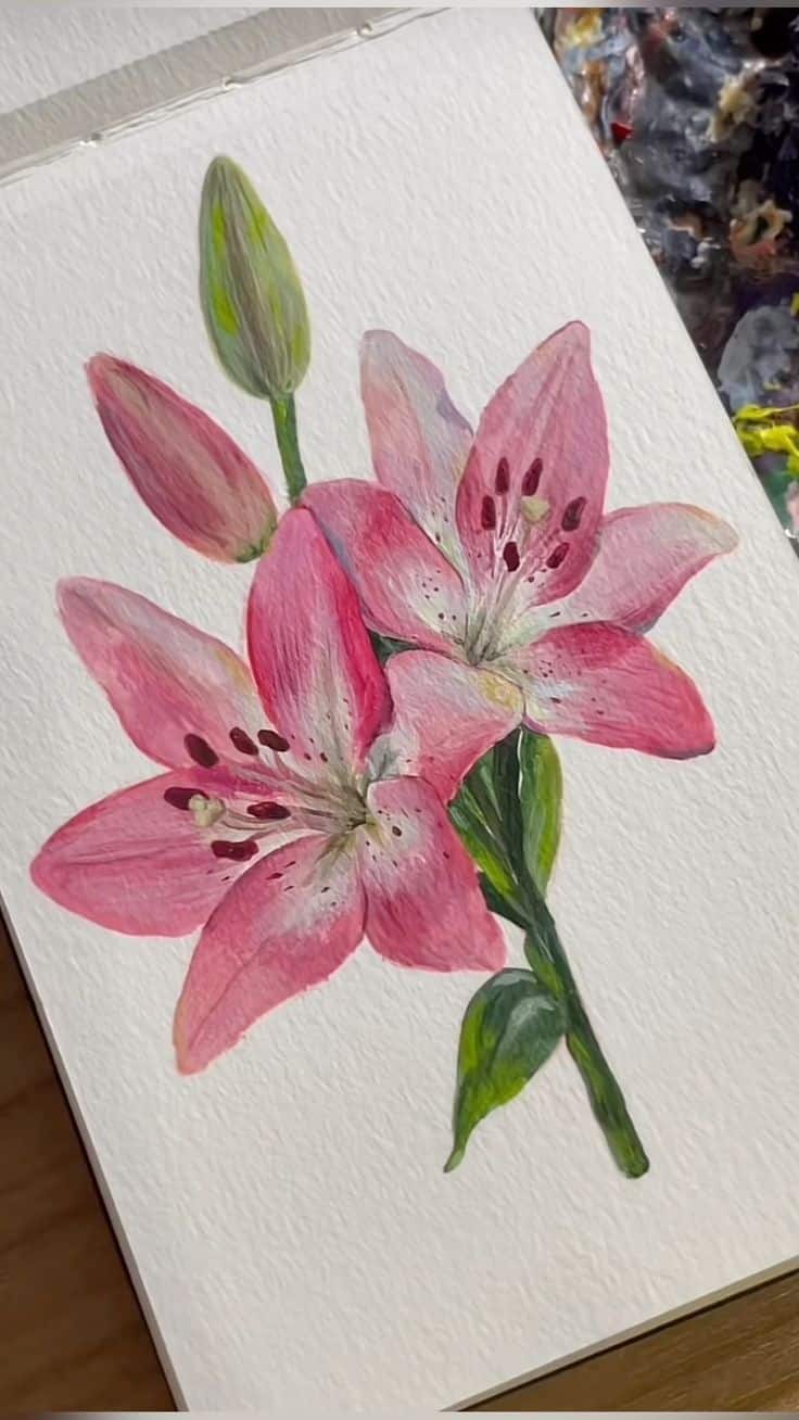 Lily Flower Drawing: Why Your Petals Look Flat (And Fixes)
