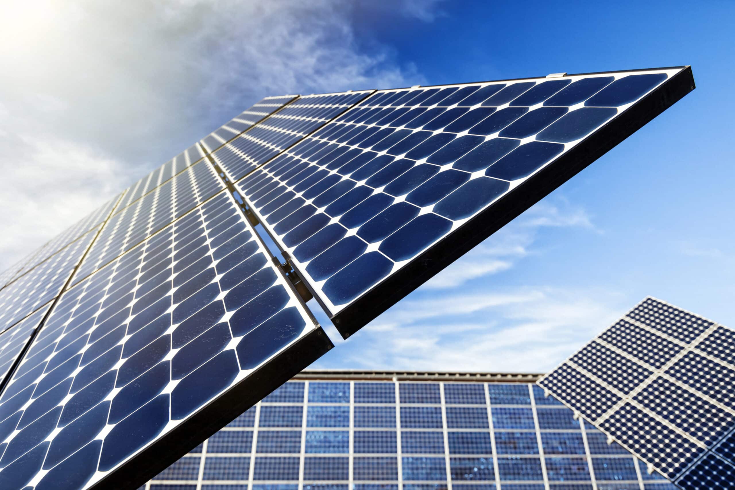 The Rise of Sustainable and Efficient Building Products