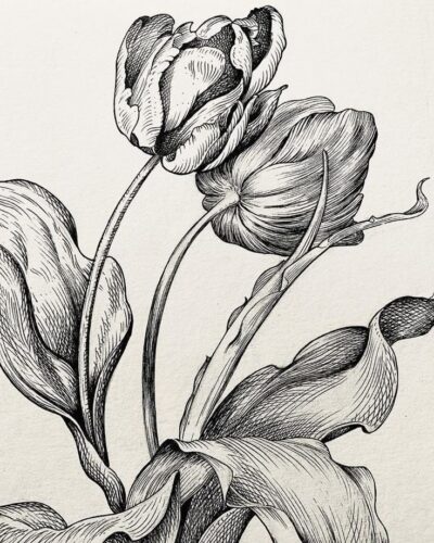 Creating Stunning Flower Sketches: Essential Techniques