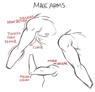 Essential Tips & Resources for Better Arm & Shoulder Art
