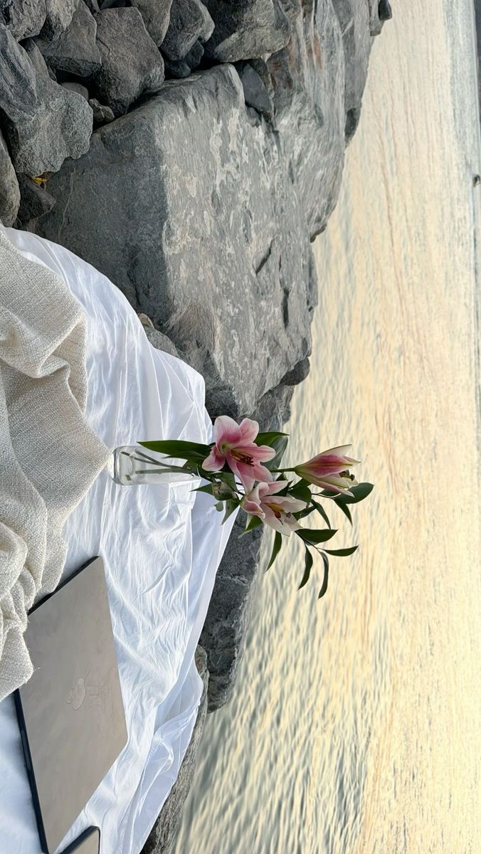 Simple Wallpapers: Enhance Your iPhone's Look & Usability