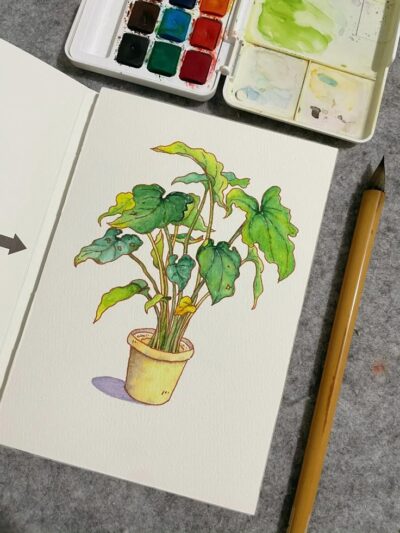 Plant Drawing Inspiration for Enhancing Your Artistic Skills