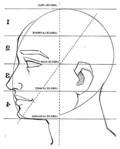 Drawing Faces from Different Angles Made Easy for Beginners