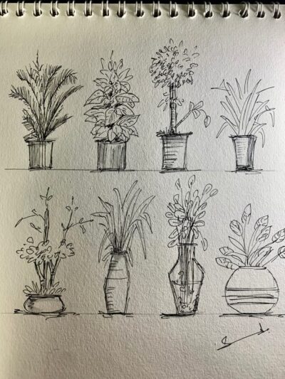 Plant Drawing Inspiration for Enhancing Your Artistic Skills