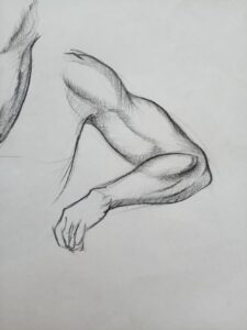 Male Body Anatomy Drawing Essentials for Beginners Made Easy