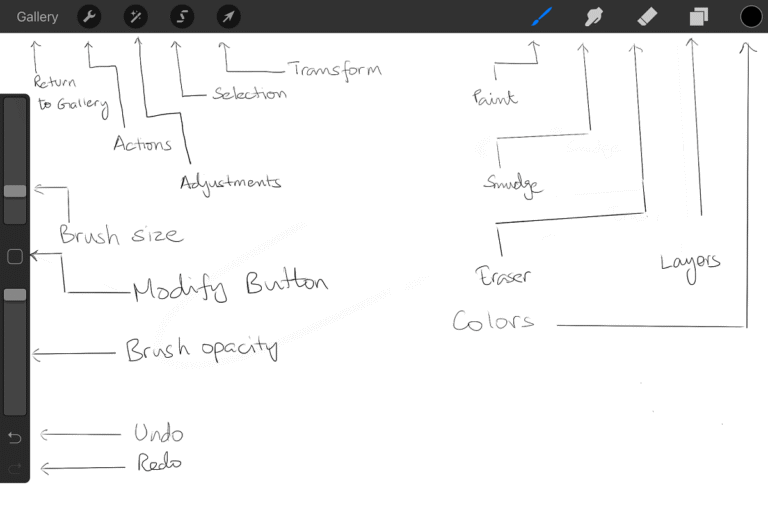 Create Your First Sketch in Procreate in 5 Minutes