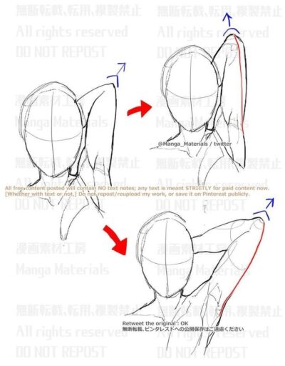Essential Tips & Resources for Better Arm & Shoulder Art