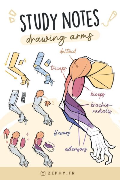 Essential Tips & Resources for Better Arm & Shoulder Art