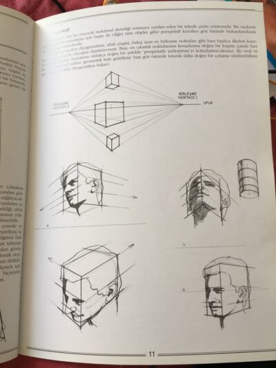 Drawing Faces from Different Angles Made Easy for Beginners