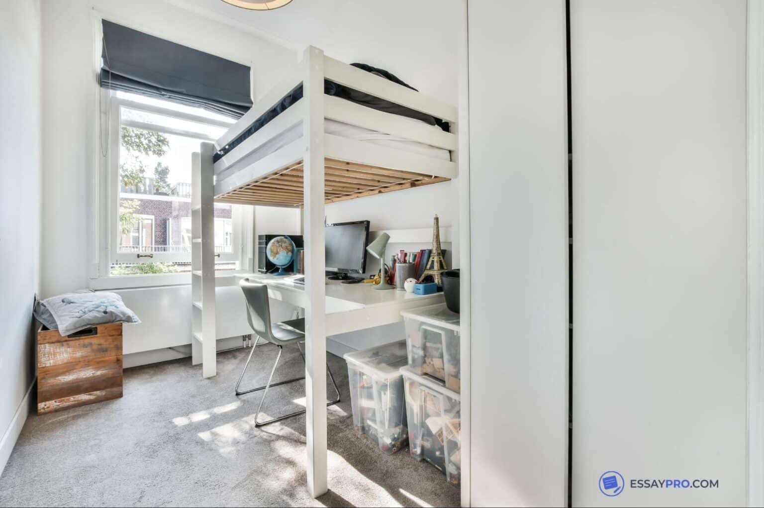 Dorm Room Essentials: Must-Haves for College Freshers
