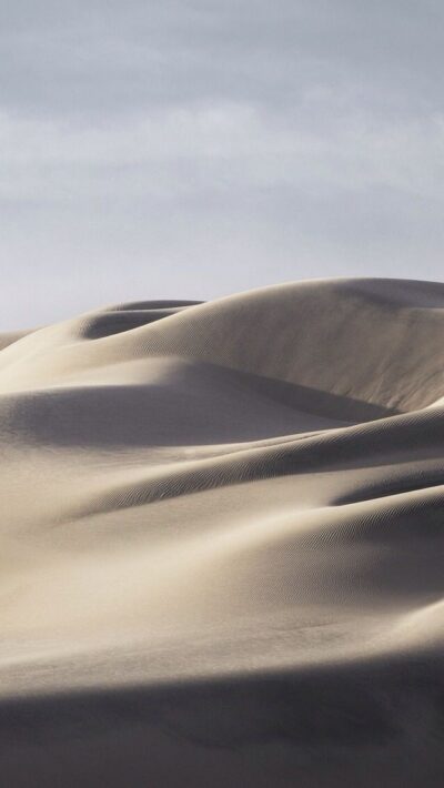 Nature-Inspired Patterns Transforming Modern Design Trends