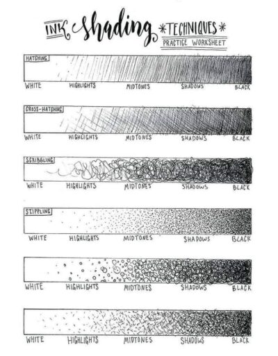 Pen and Ink Botanical Drawing Tips for Beginners Made Easy