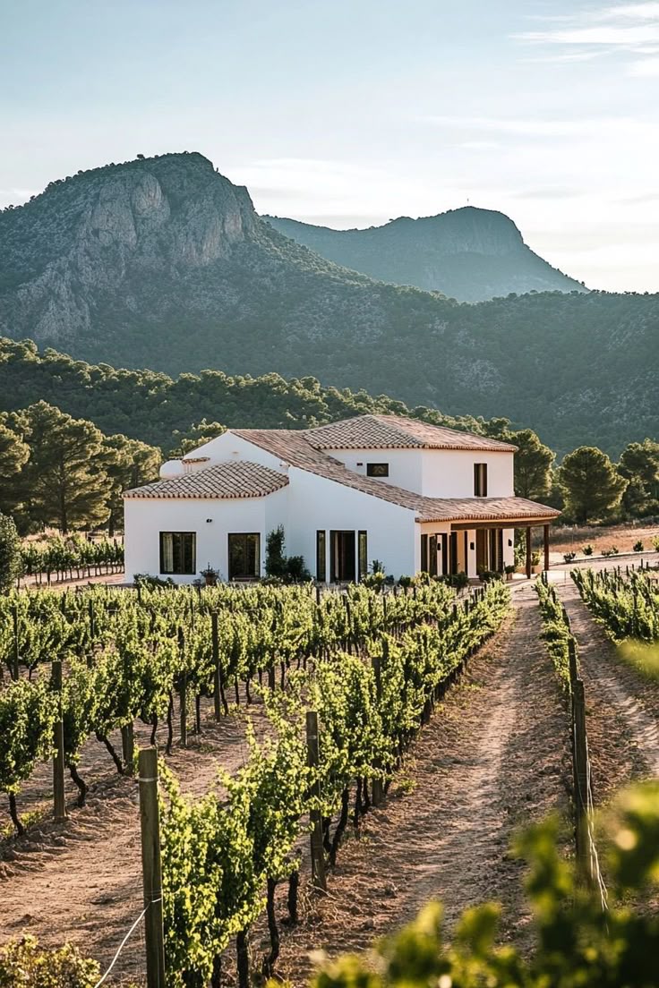 Unlock the Vibrant Spanish Real Estate Market of 2025