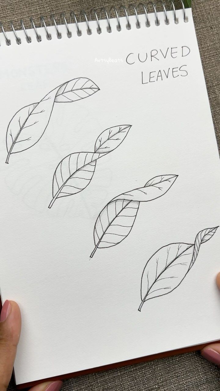 Pen and Ink Botanical Drawing Tips for Beginners Made Easy