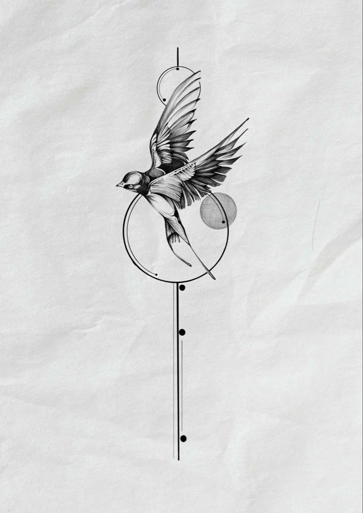 Complete Guide to Tattoo Outlines: From Design to Aftercare