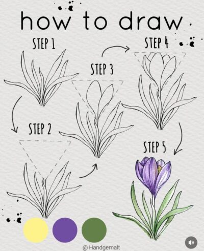 Pen and Ink Botanical Drawing Tips for Beginners Made Easy