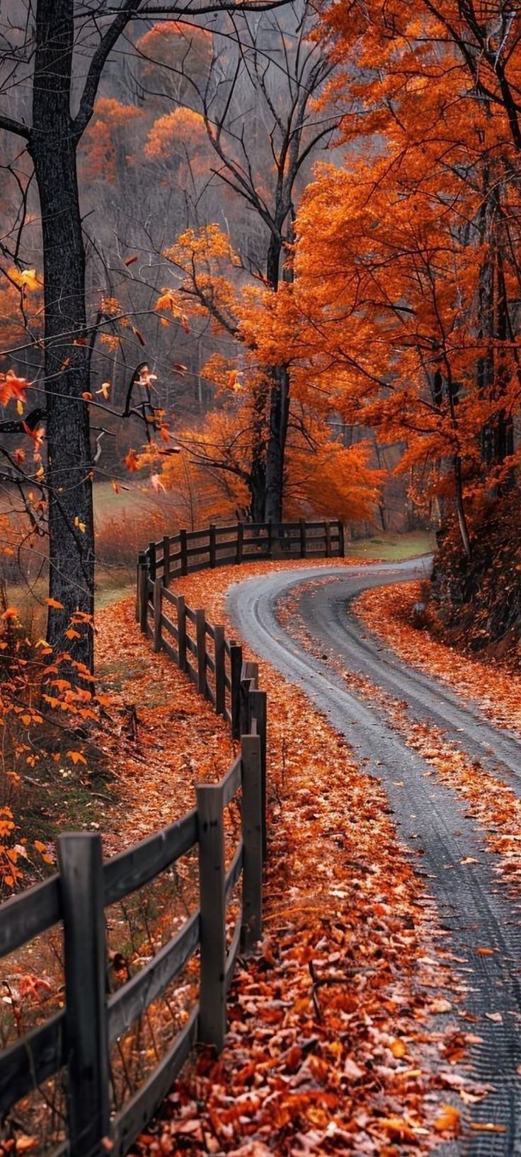 Autumn Wallpapers Stunning Designs to Enhance Your Device