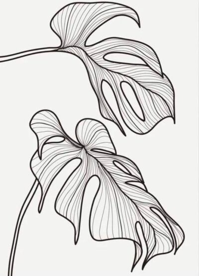 Pen and Ink Botanical Drawing Tips for Beginners Made Easy