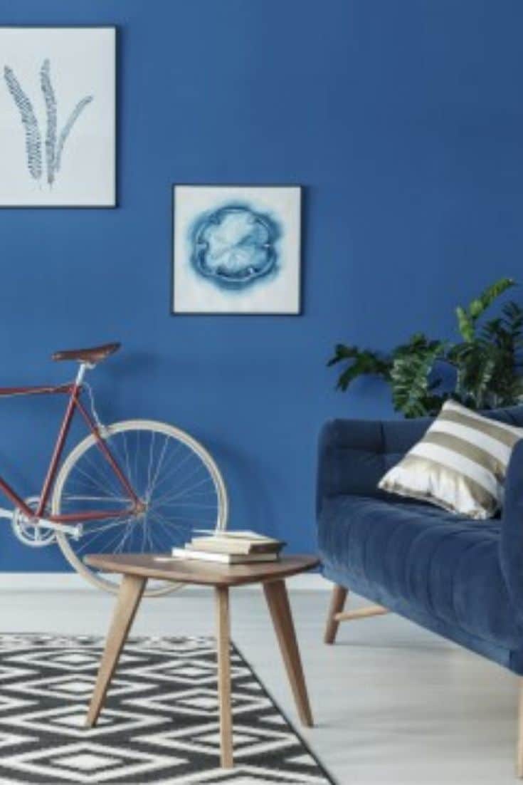 Pantone Color of the Year 2025 Trends and Insights